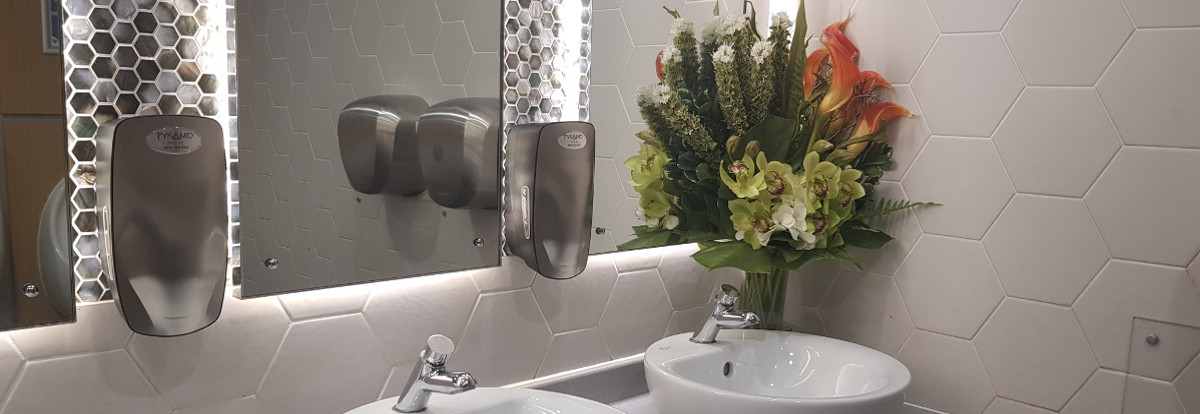 Home page [pyramidhygiene.com]